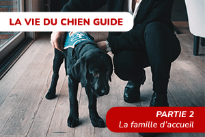 La vie du chien guide : la famille d’accueil | Chiensguides.fr