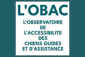 Accessibilité des chiens d'aveugles et d'assistance - Chiensguides.fr