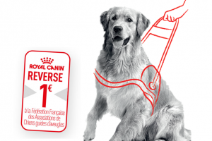 Royal Canin s’engage aux côtés des chiens guides d’aveugles | FFAC