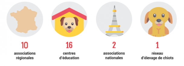 Chiens d'aveugles - Présentation - Chiensguides.fr