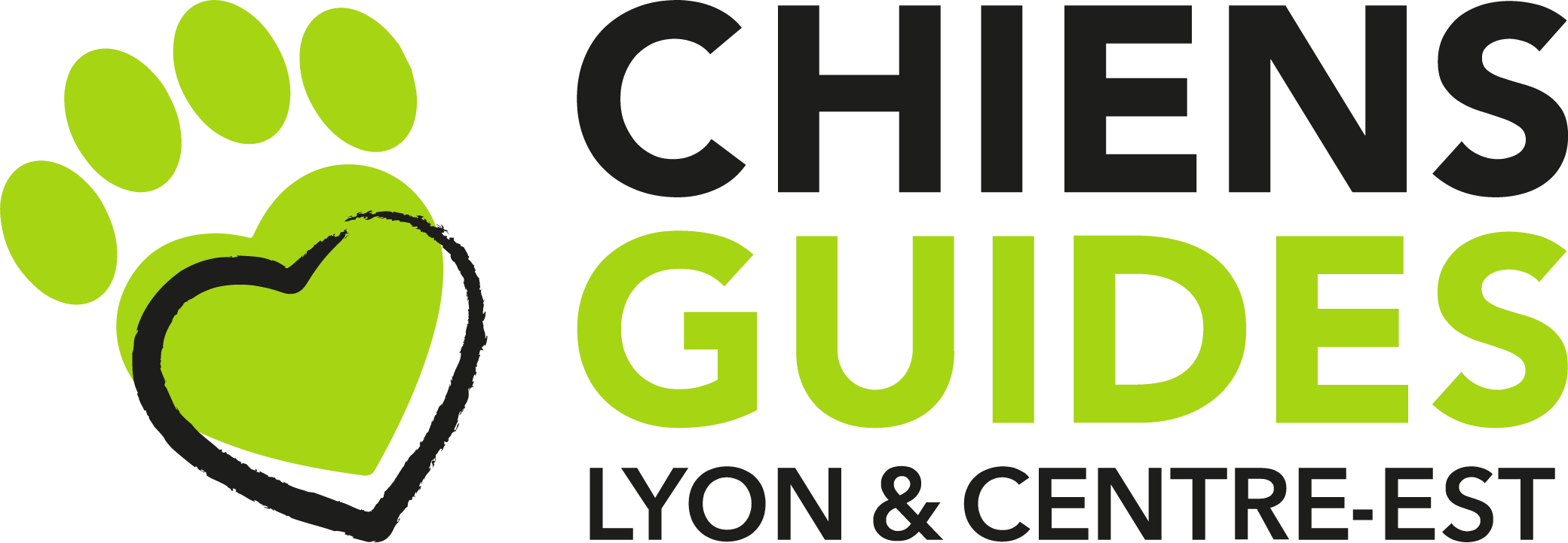 Association de Chiens Guides d'Aveugles de Lyon et du Centre-Est | FFAC