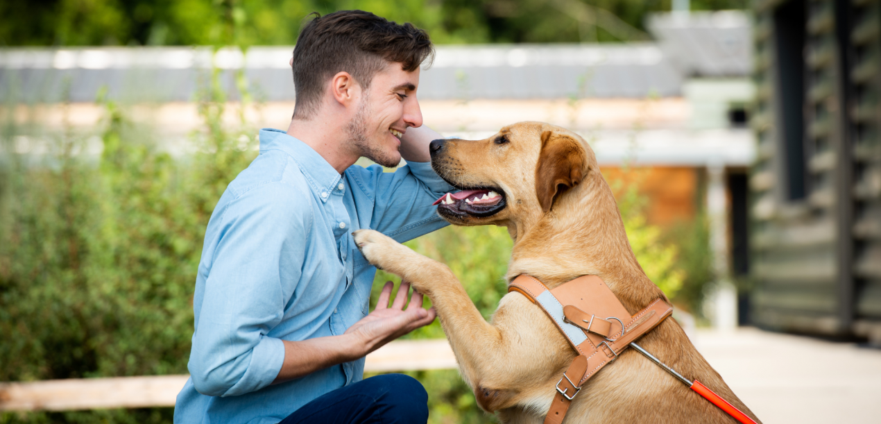 FFAC | Fédération Française des Associations de Chiens guides d'aveugles