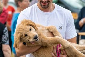 FFAC | Fédération Française des Associations de Chiens guides d'aveugles