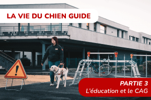 FFAC | Fédération Française des Associations de Chiens guides d'aveugles