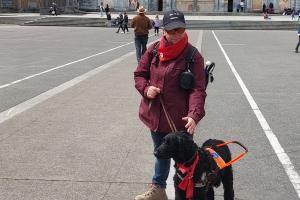 FFAC | Fédération Française des Associations de Chiens guides d'aveugles