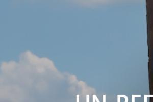 FFAC | Fédération Française des Associations de Chiens guides d'aveugles